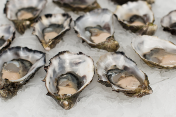 A Simple Guide To Enjoy Oysters – Should You Chew or Swallow Whole?